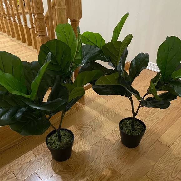Structube | Accents | Faux Fiddle Leaf Figs | Poshmark